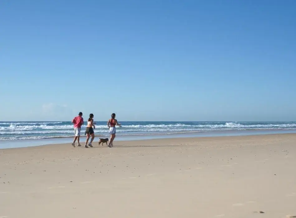 Healthy Spring Break Travel Tips: Stay Well on the Go